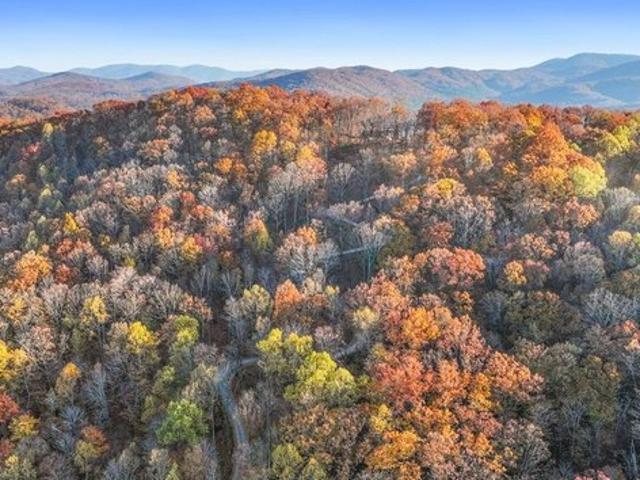 Wilderness Way Lot 4, Blue Ridge, GA 30513