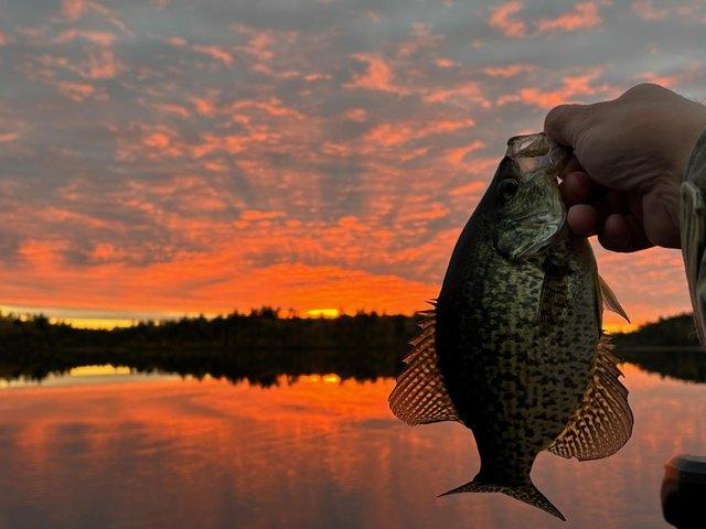 Wilderness Way Rd, Cook, MN 55723