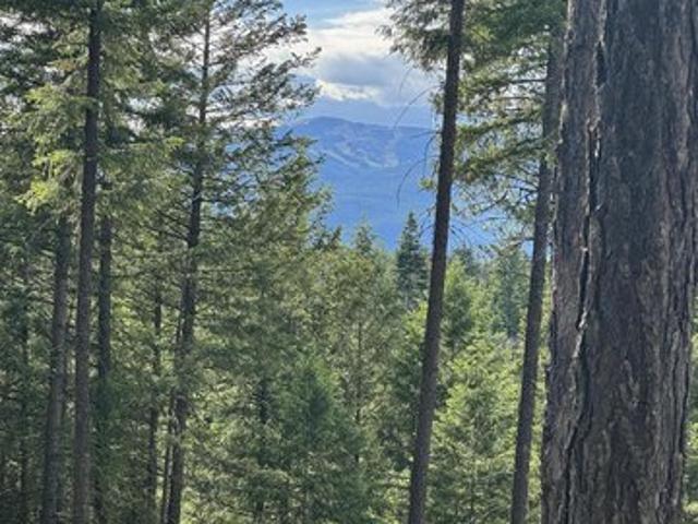 Wildflower Way, Sandpoint, ID 83864
