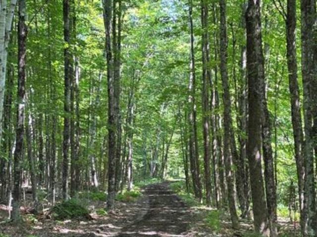 Wildlife Ln, New Sharon, Plot For Sale