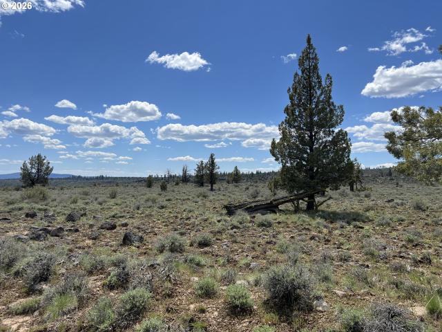 Wildpine Way # 6