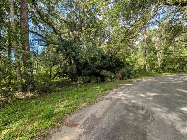 Wildwood Dr, Brooksville, FL 34601