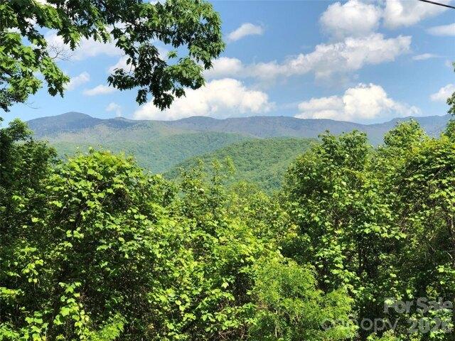 Wildwood Dr Lots And,burnsville, Plot For Sale