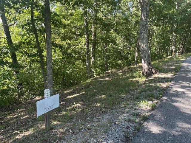 Wildwood Rdg Lot 20, Caldwell, WV 24925