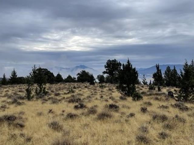 Wiley Creek Rd, Dayville, OR 97825