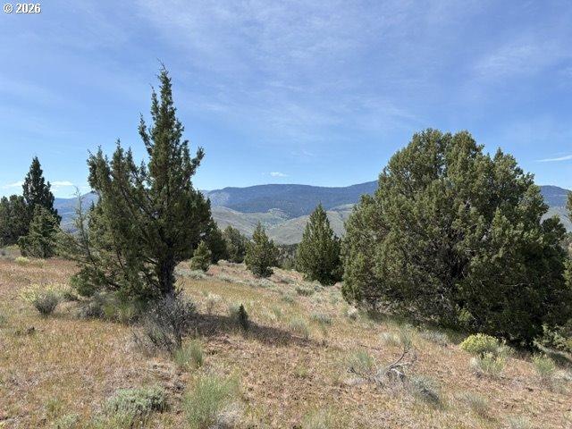 Wiley creek road