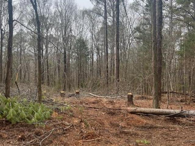 Wiley Road, Caledonia, MS 39740