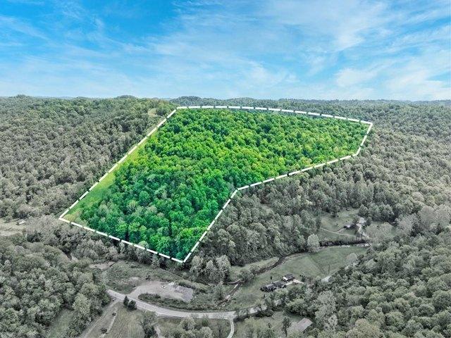 Wileyville, WV 26581