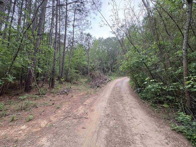 Wilhite Rd, Falkville, AL 35622