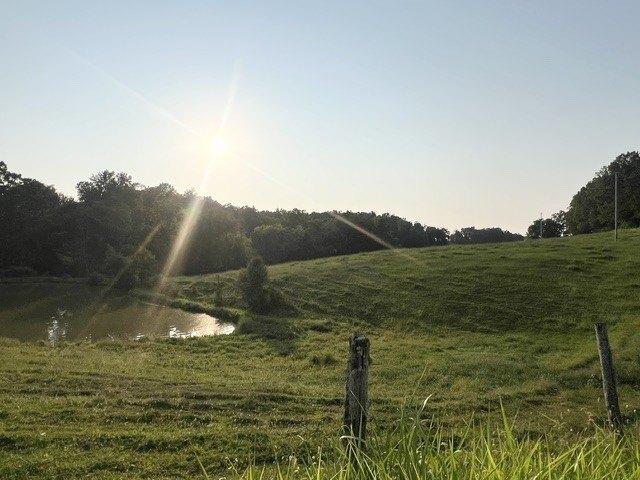 Wilkerson Rd, Adolphus, KY 42120