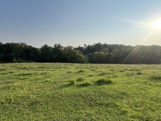 Wilkerson Rd, Adolphus, KY 42120