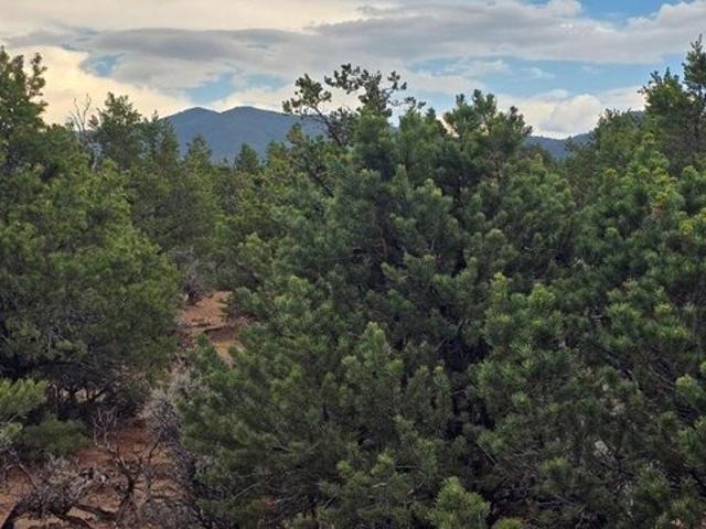 Wilking Rd Lot 1862, Fort Garland, CO 81133