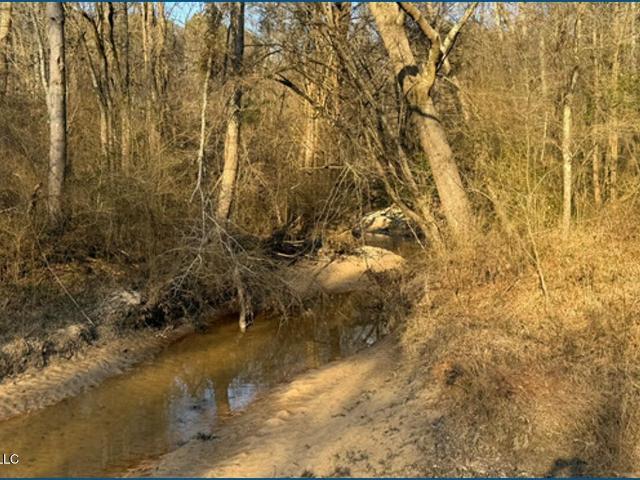 Will Brown, Conehatta, MS 39057 | MLS #4139
