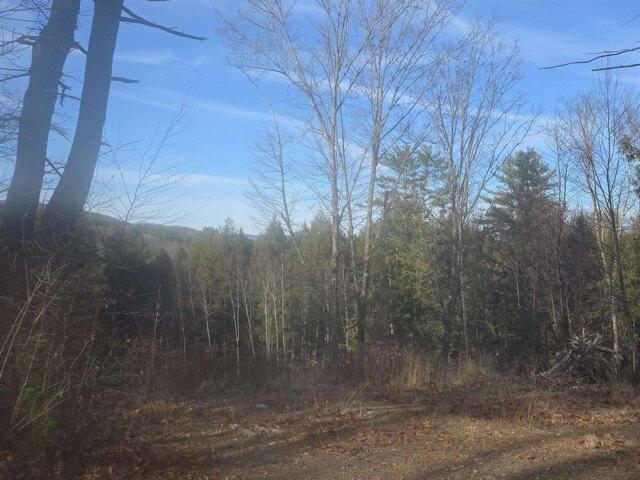 Will Dean Rd, Springfield, Plot For Sale