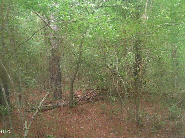 Will Glenn Road, Smithville, MS 38870