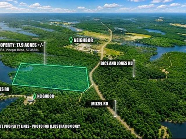 Will Jones Rd, Vinegar Bend, AL 36584