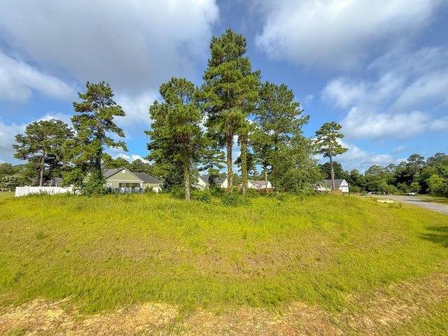 Will Rd Lot 49, Moultrie, GA 31768