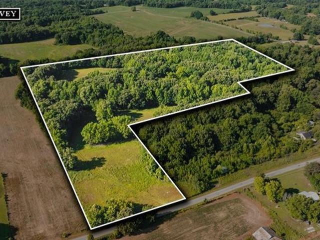 Will Young, Greenfield, TN 38230