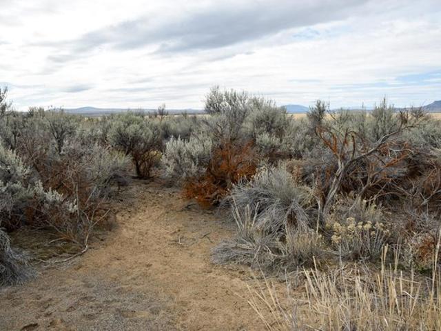 Willa Rd Unit 3, Christmas Valley, OR 97641