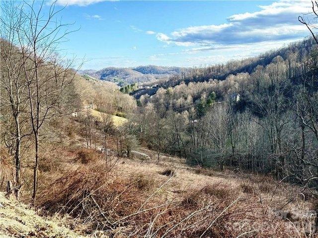 Willard Johnson Rd, Vilas, NC 28692