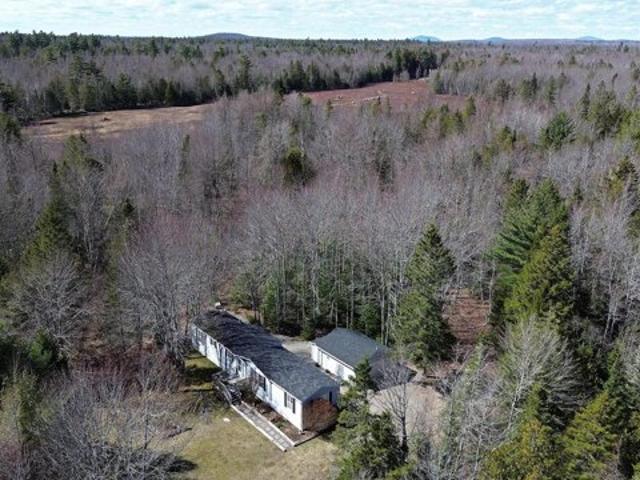Willey District Rd, Harrington, Property For Sale