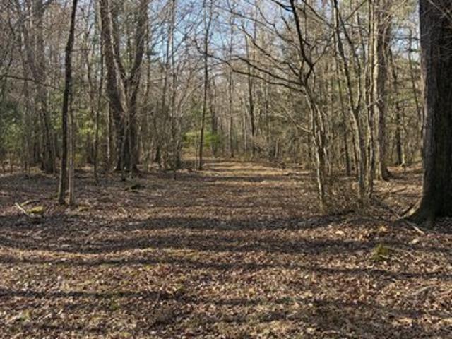 Willington Hill Rd, Willington, CT 06279