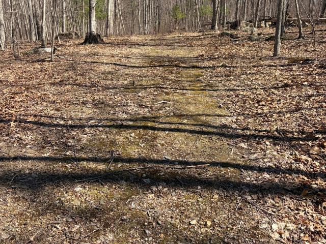 Willington Hill Rd, Willington, CT 06279 | MLS #24167