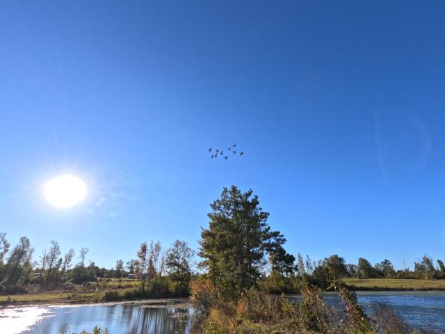 William Warren Road, Collins, MS 39428