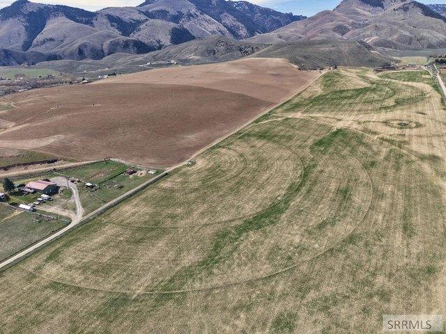Williams Creek Rd, Salmon, ID 83467