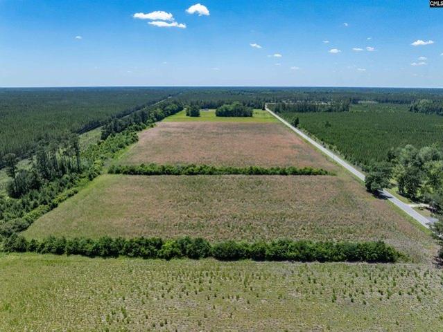 Williams Hill Rd Lot 1, Hemingway, SC 29954