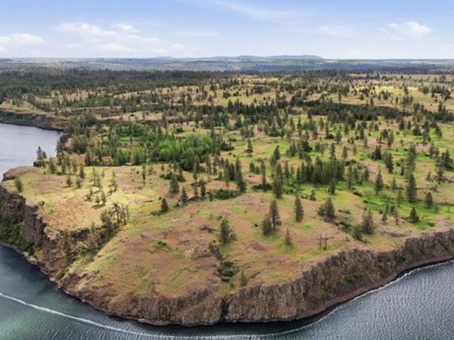 Williams Lake Rd, Cheney, WA 99004