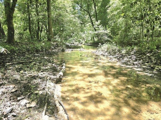 Williams Mill Rd, Clayton, AL 36016