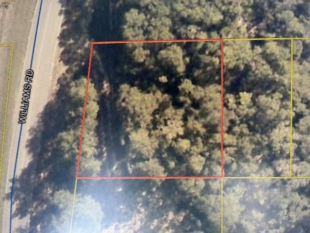 Williams Rd, Defuniak Springs, FL 32433