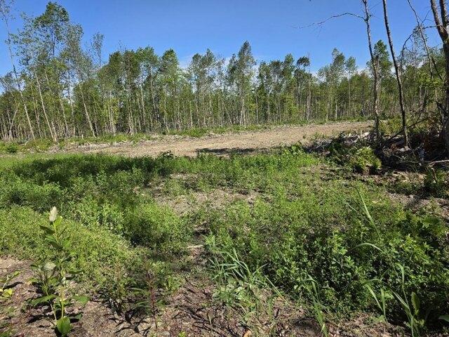 Williams Rd Lot,amity, Plot For Sale
