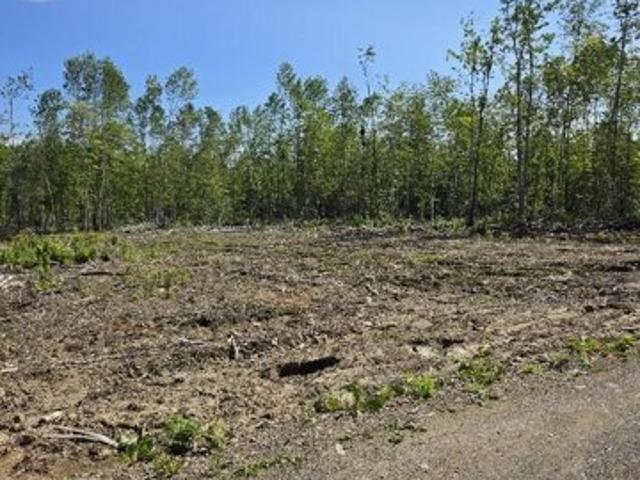 Williams Rd Lot,amity, Plot For Sale