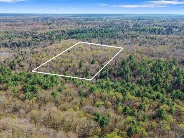 Williamstown NY 13493 LS91371706