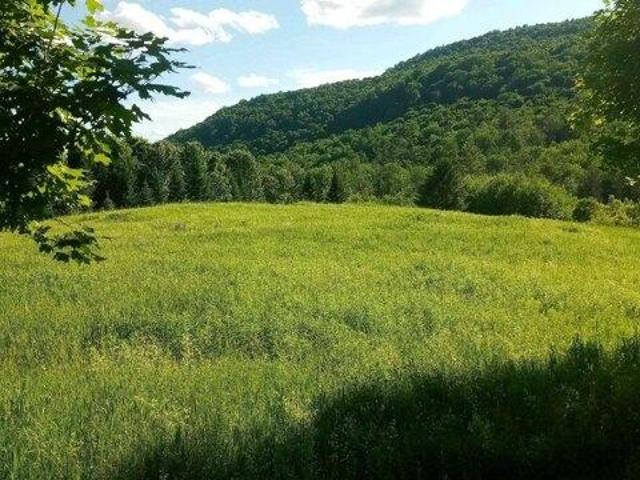 Williamstown VT 05679 104850503