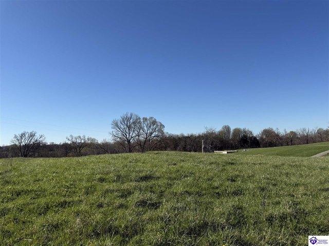 Willie Nell Rd Lots 3 & 4, Columbia, KY 42728