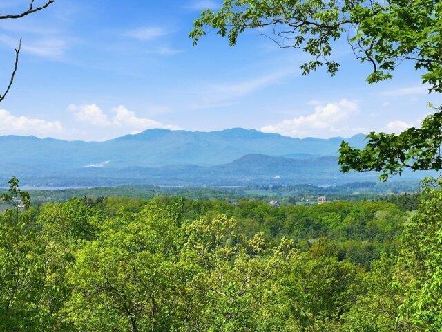 Williston VT 05495 104791232