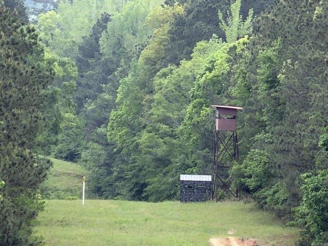 Willisville, AR 71864