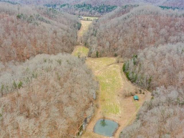 Willis Creek Rd, Albany, KY 42602