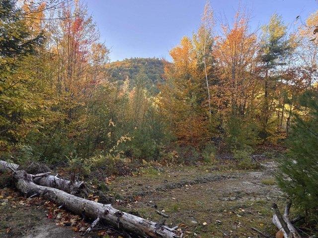 Willis Bean Rd Lots 2,4,6, Eaton, NH 03832