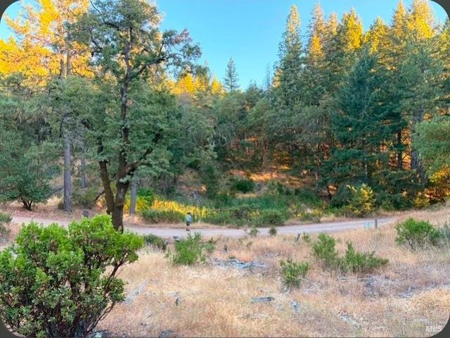 Willits, CA 95490