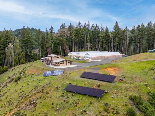 Willits, CA 95490