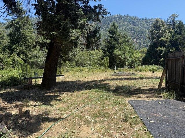 Willow Creek, CA 95573