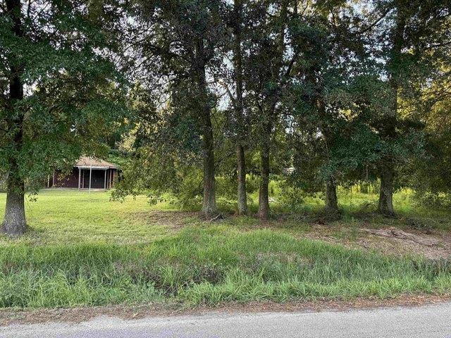 Willow Bnd, Vidor, TX 77662