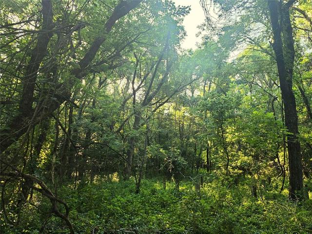 Willow Bend Road