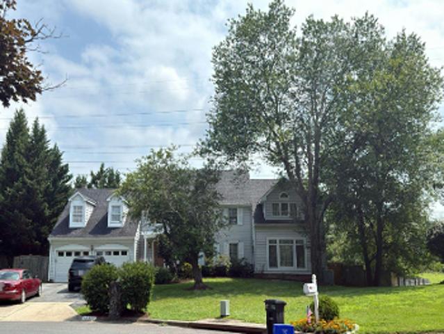 Willow Green Ct