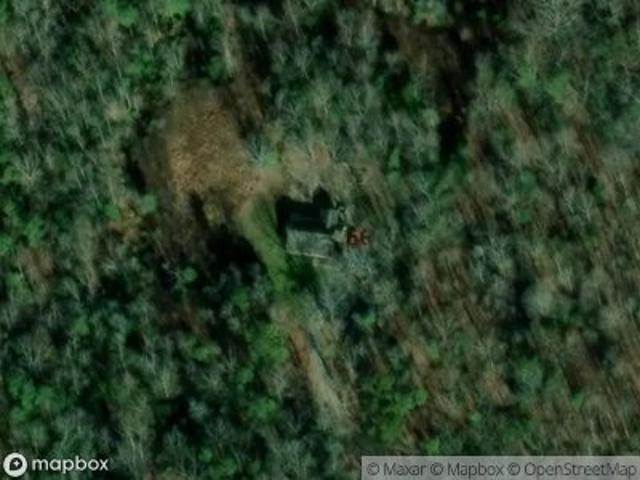 Willow Oak Ct