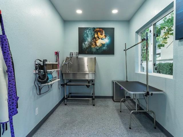 Willow Lake 1 Bedroom Apartment for Rent at 1331 Lakeshore Cir, San Jose, CA 95131 McKay Ringwood